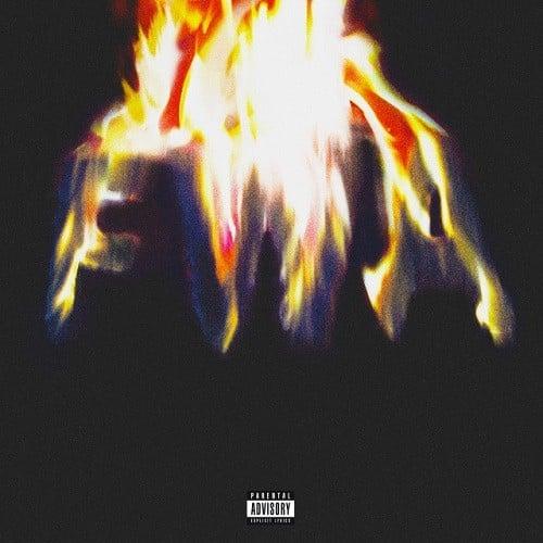 Lil Wayne - FWA (Free Weezy Album) Mixtape Hosted by Young Money Ent.