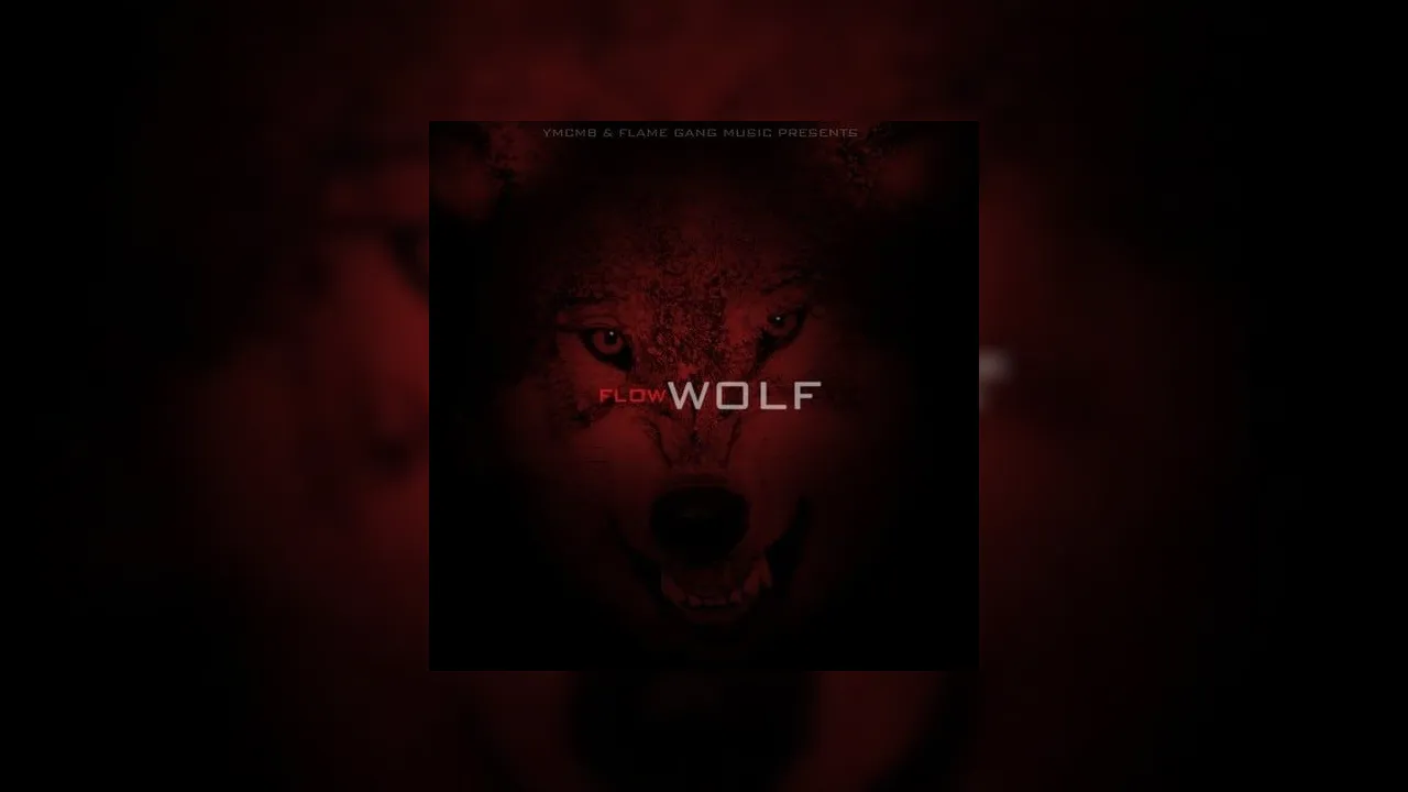 Flow - WOLF Mixtape Hosted by YMCMB