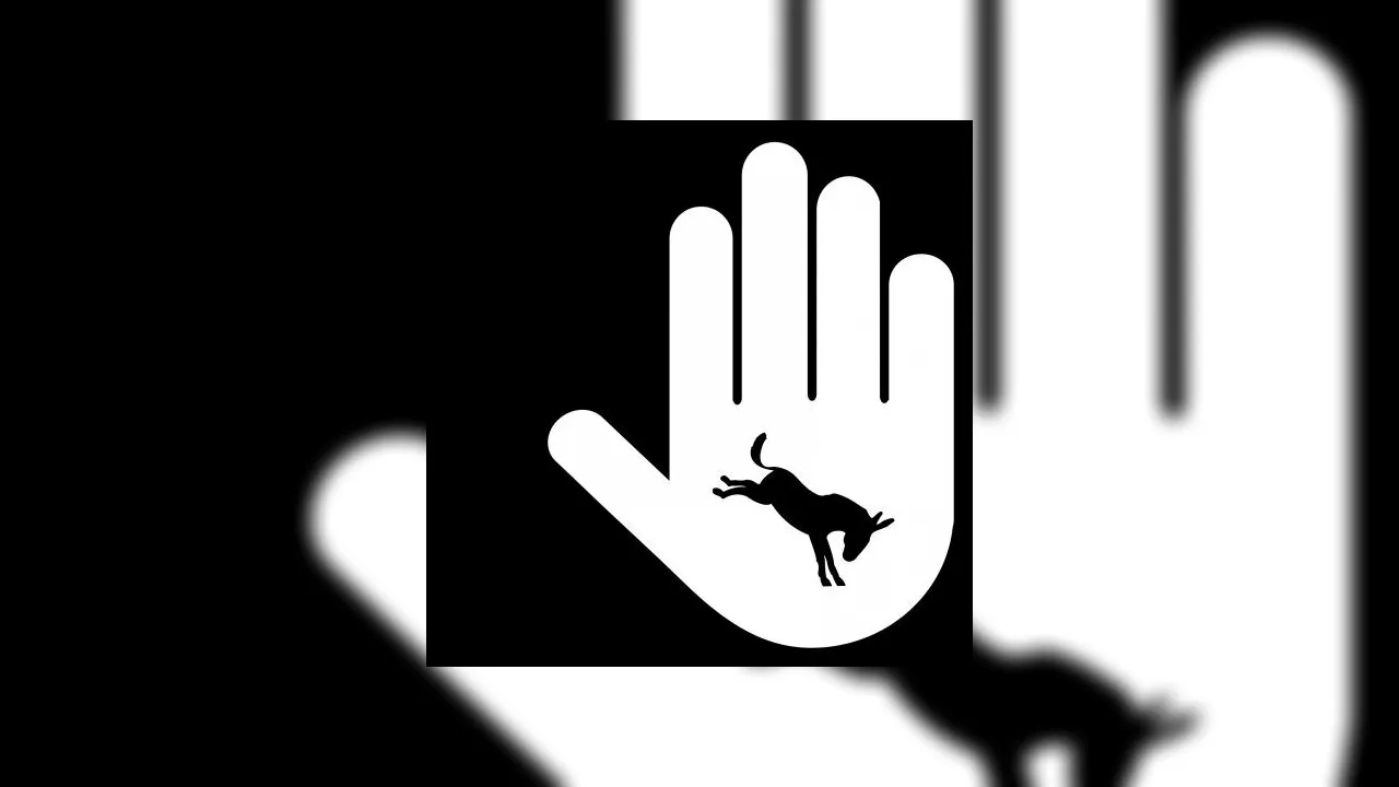 Five Mixtape Hosted by Donkey Pitch